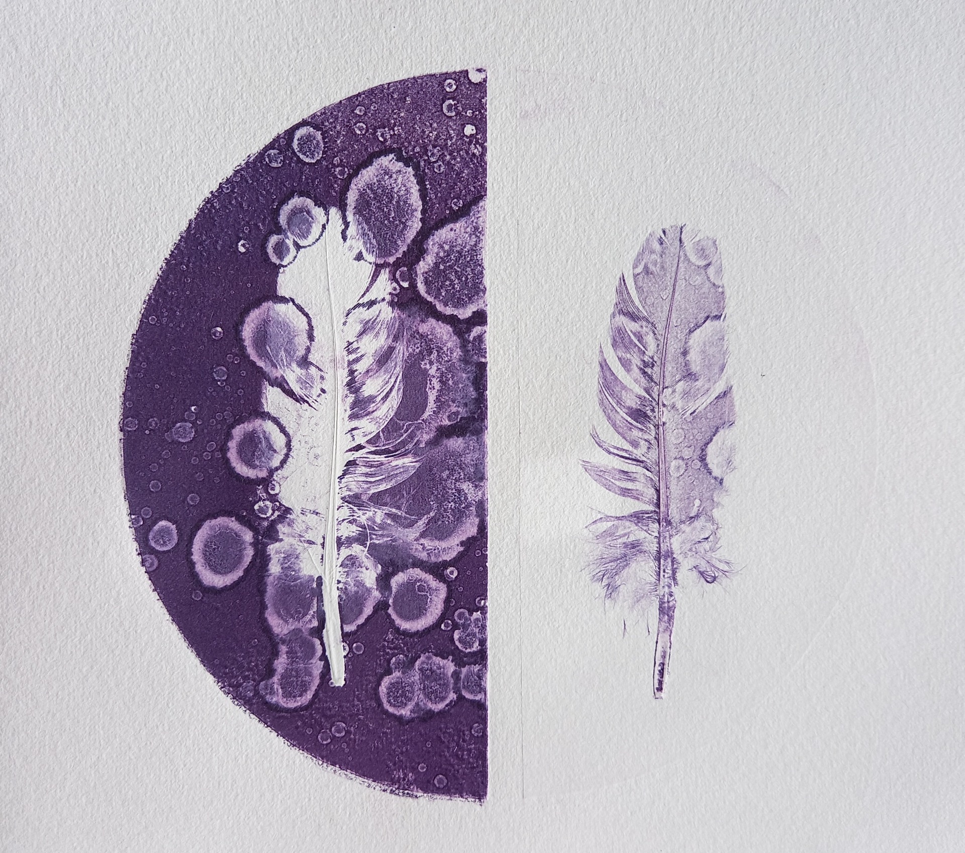 Grafiikka :: Ansku Lehtovaara