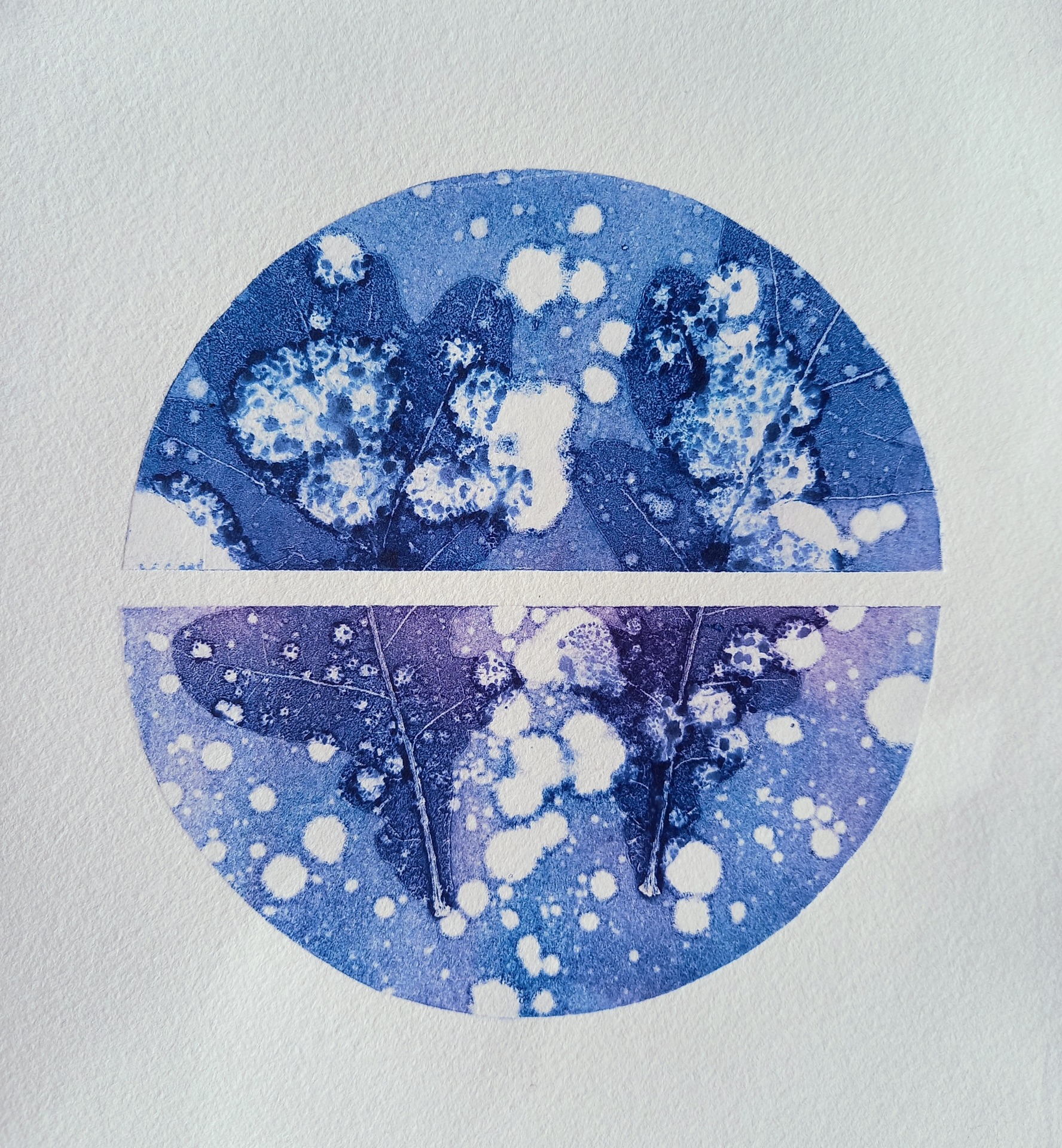 Grafiikka :: Ansku Lehtovaara