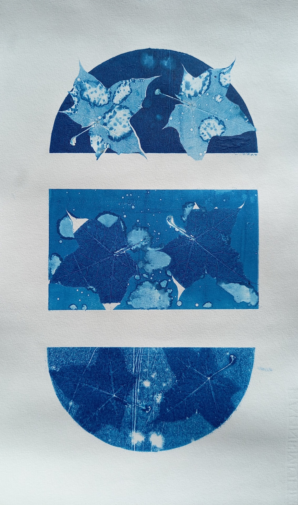 Grafiikka :: Ansku Lehtovaara